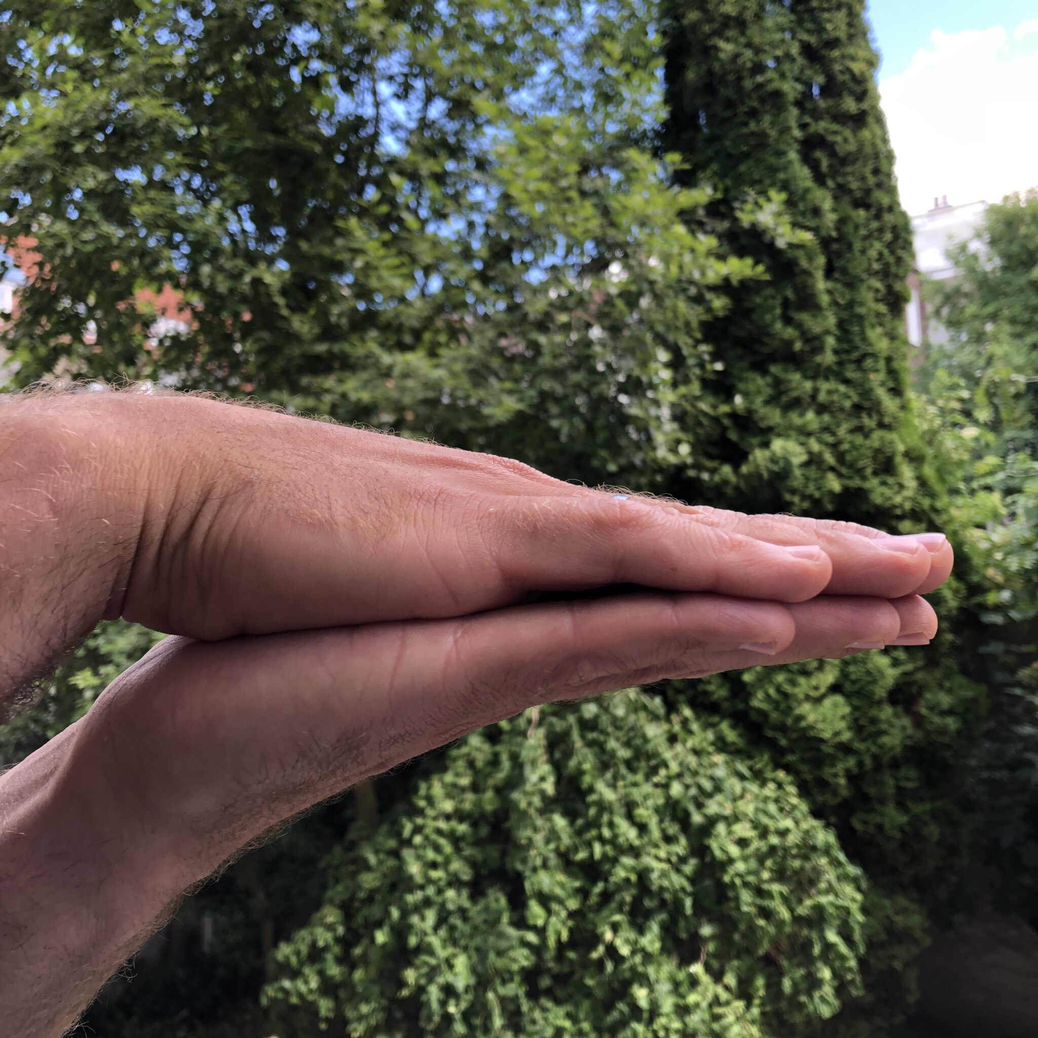 Willst du mich veräppeln, du Lappen? - raum für chiropraktik